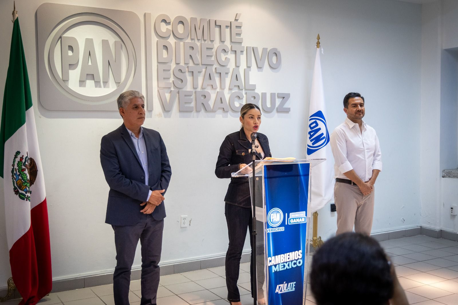 Se suma la diputada Maribel Ramírez Topete a la bancada del PAN y a la ...